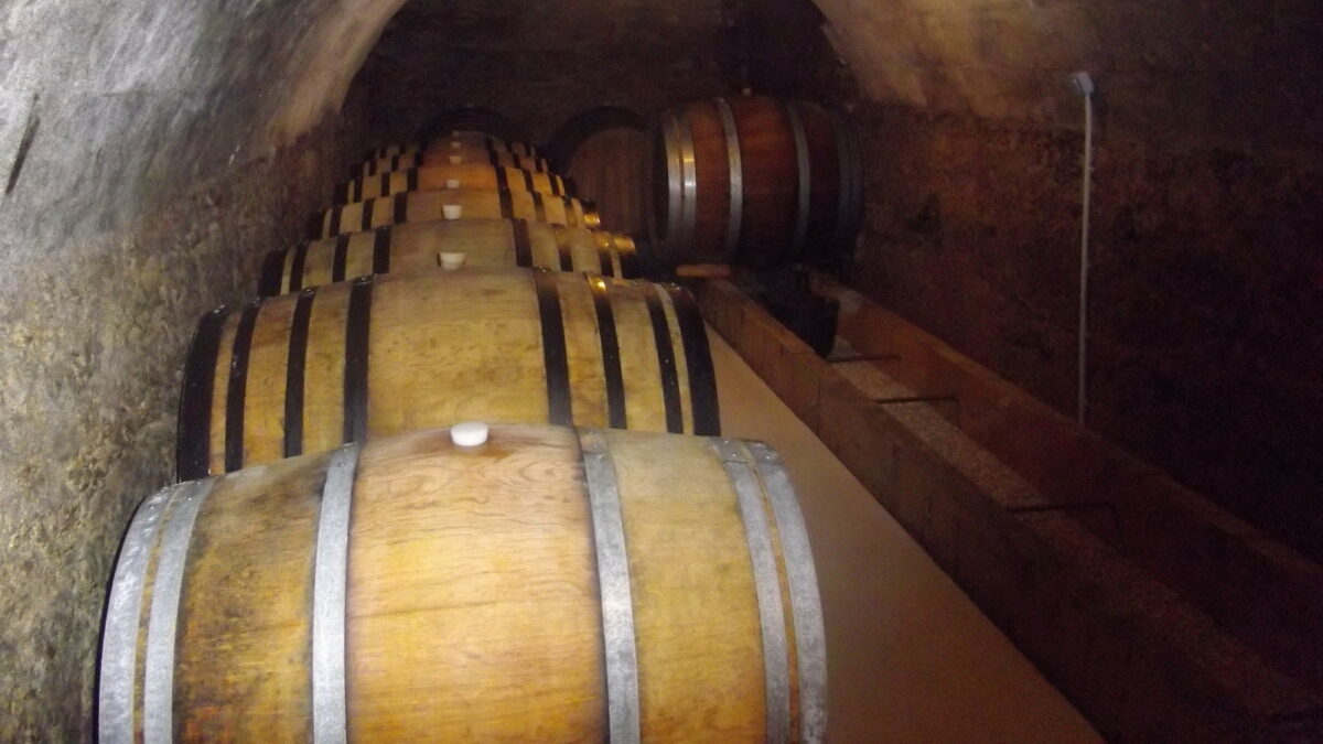 Marie Thibault Touraine/ Azay le Rideau/Organic wines